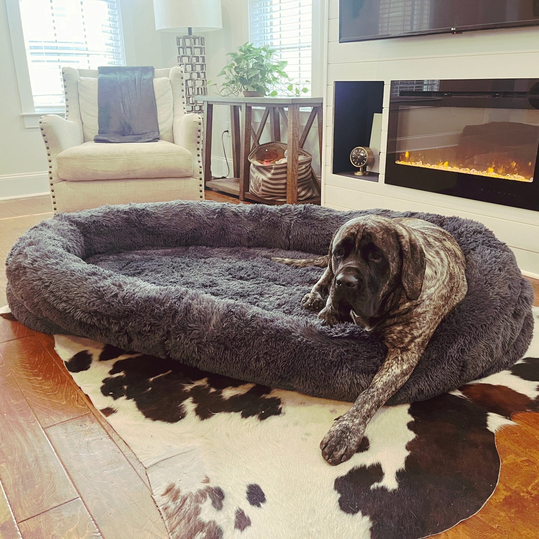 Gigantic Ass Bed - Premium Giant Orthopedic Dog Bed 79x36 – Big Ass Dog ...